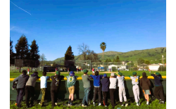 Warm Springs Little League Baseball > Home